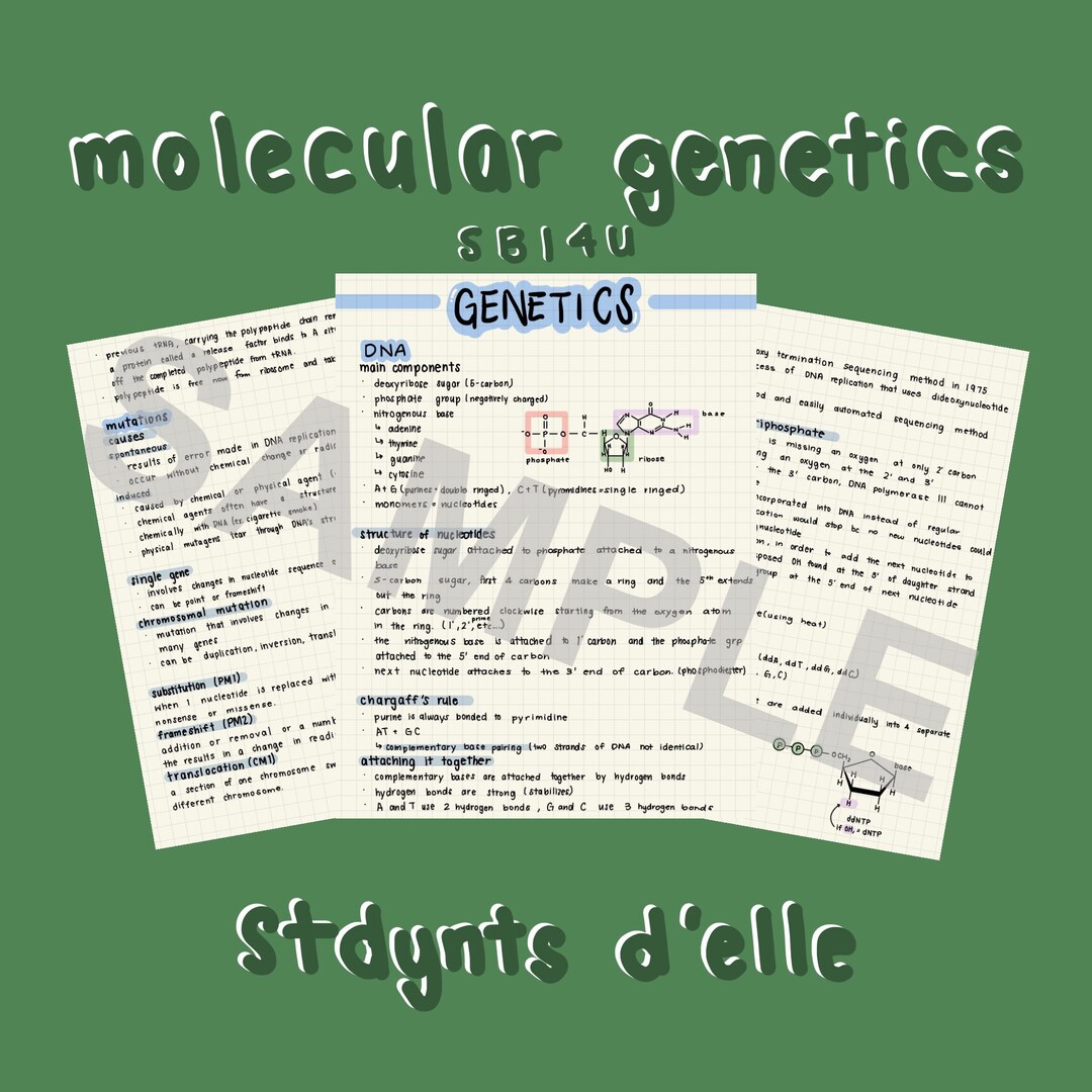SBI4U — Molecular Genetics - Etsy