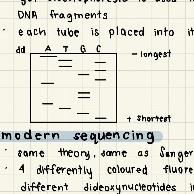 SBI4U — Molecular Genetics - Etsy