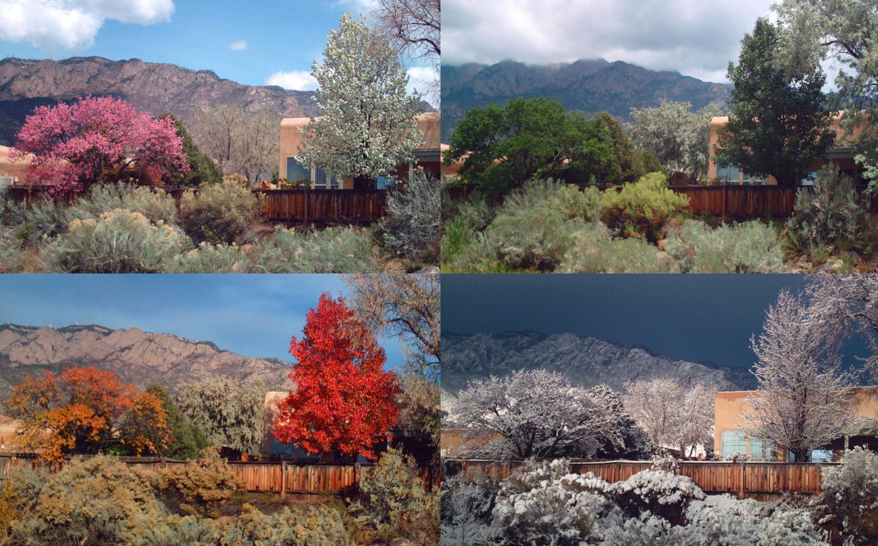 Beautiful Four Season Photos! - Etsy