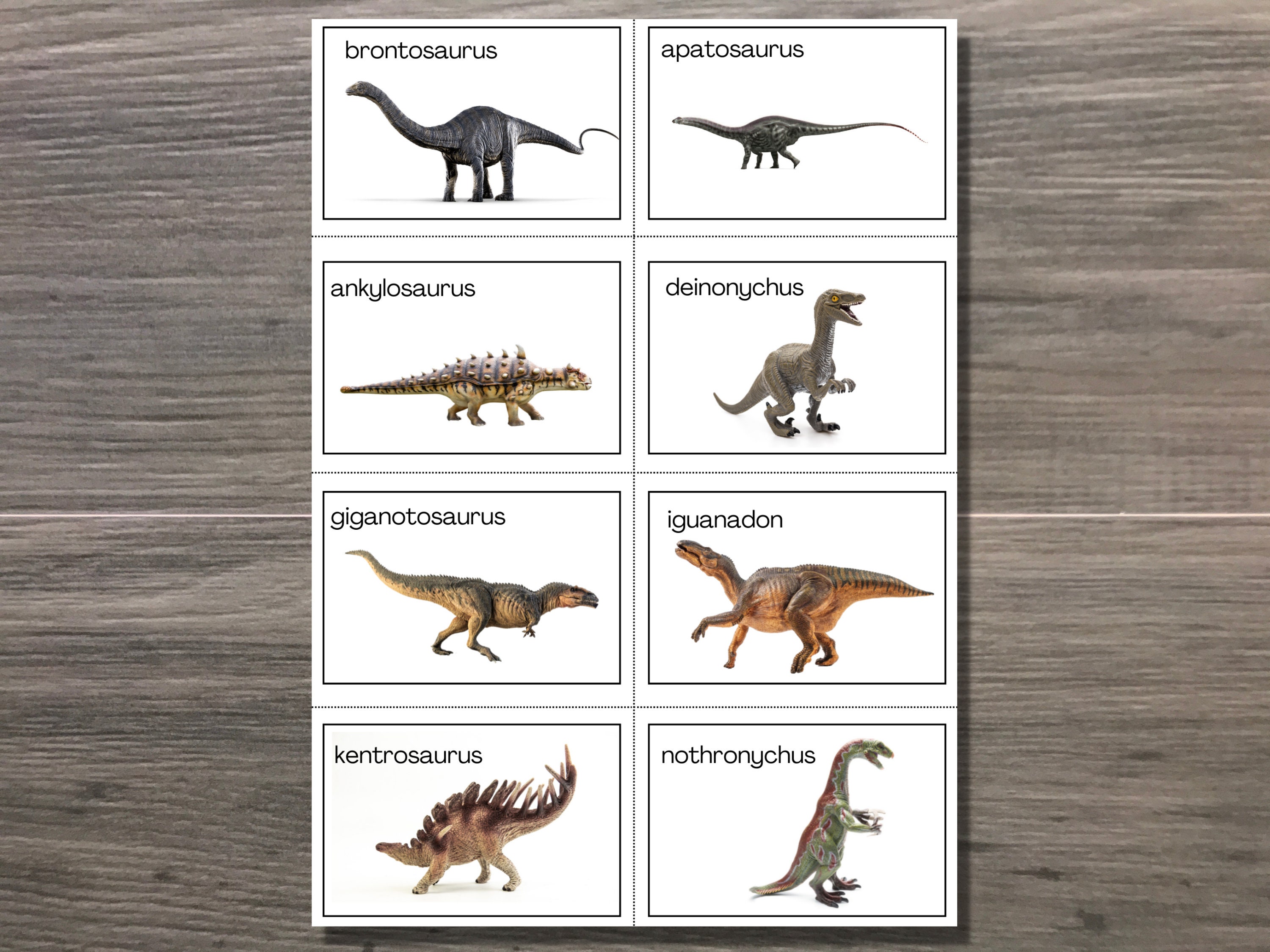 32 Dinosaur Printable Flash Cards | Dinosaur Cards | Dinosaur Memory ...