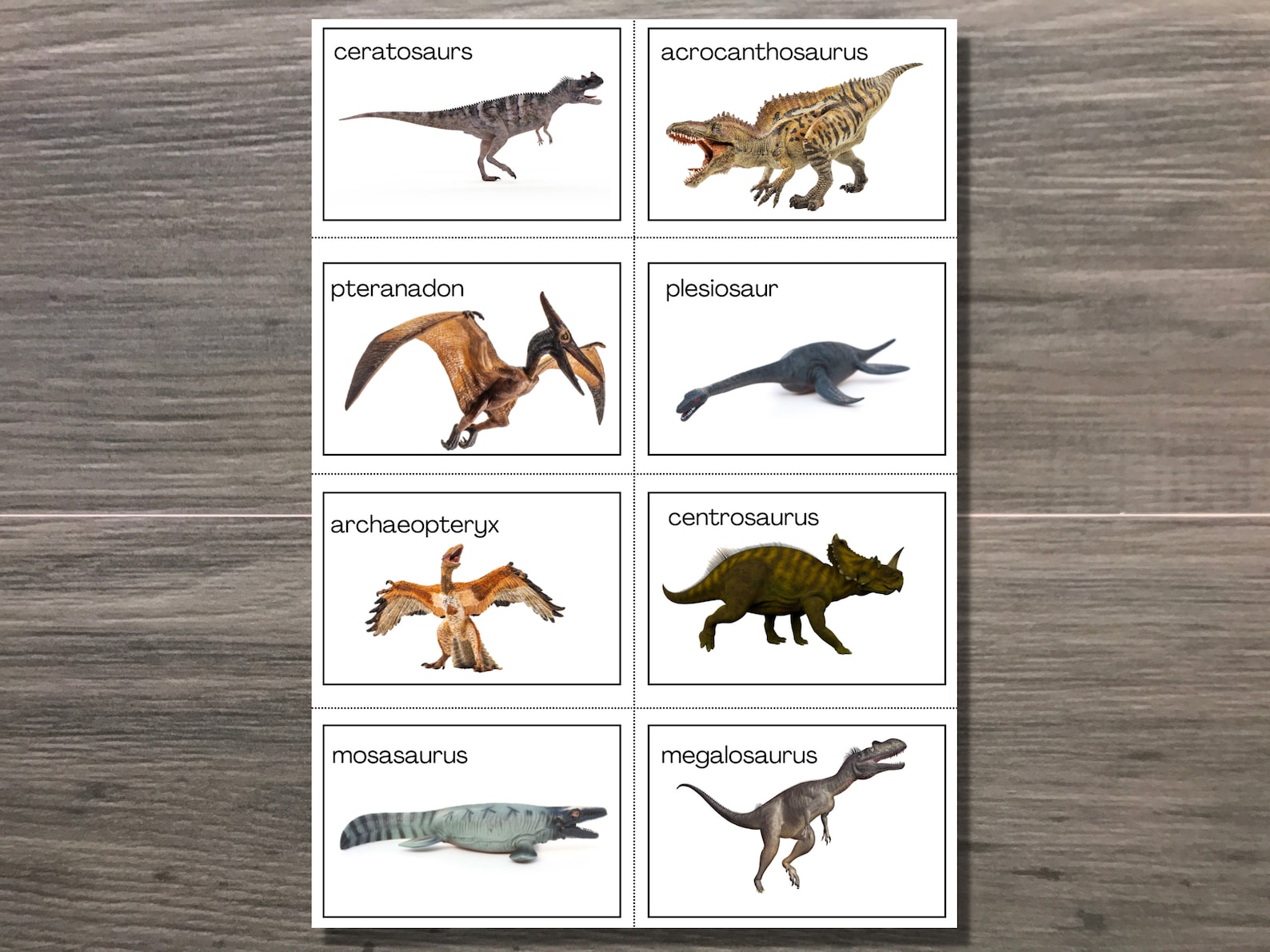 32 Dinosaur Printable Flash Cards | Dinosaur Cards | Dinosaur Memory ...