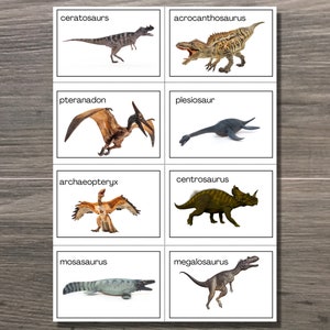 32 Dinosaur Printable Flash Cards | Dinosaur Cards | Dinosaur Memory ...