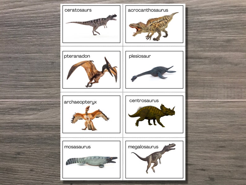 32 Dinosaur Printable Flash Cards | Dinosaur Cards | Dinosaur Memory ...