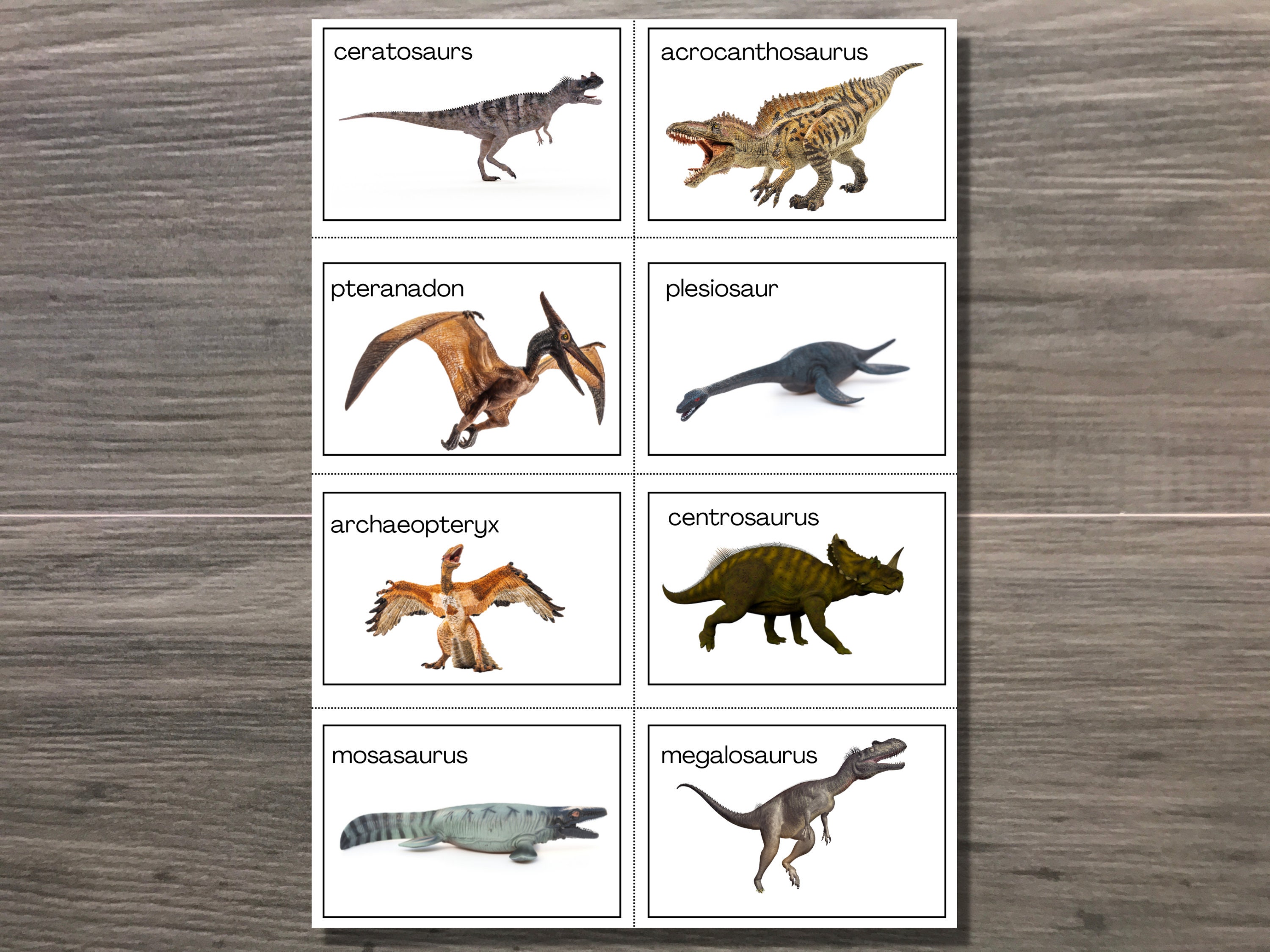 32 Dinosaur Printable Flash Cards | Dinosaur Cards | Dinosaur Memory ...