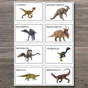 32 Dinosaur Printable Flash Cards | Dinosaur Cards | Dinosaur Memory ...
