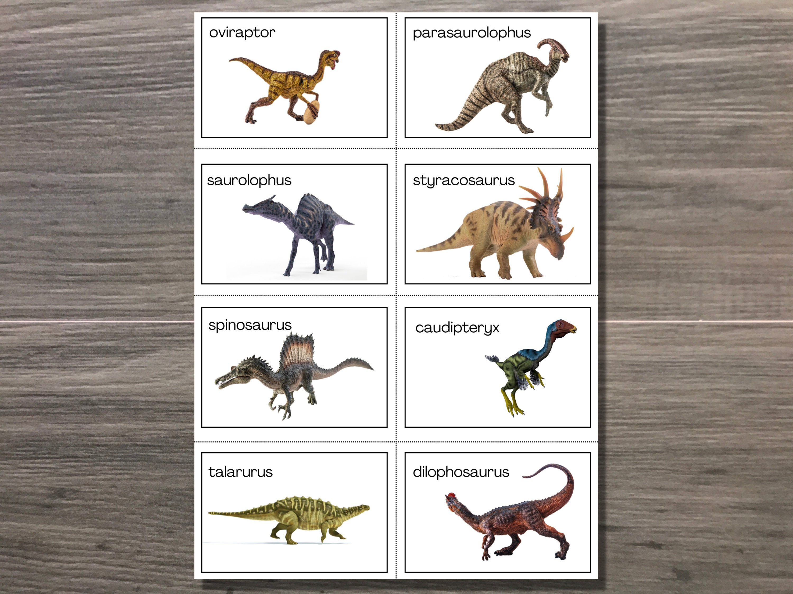 32 Dinosaur Printable Flash Cards | Dinosaur Cards | Dinosaur Memory ...