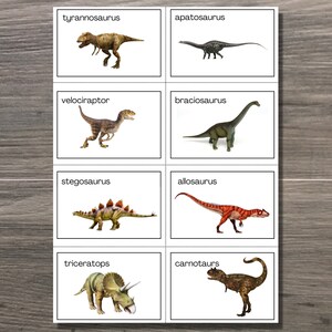 32 Dinosaur Printable Flash Cards | Dinosaur Cards | Dinosaur Memory ...