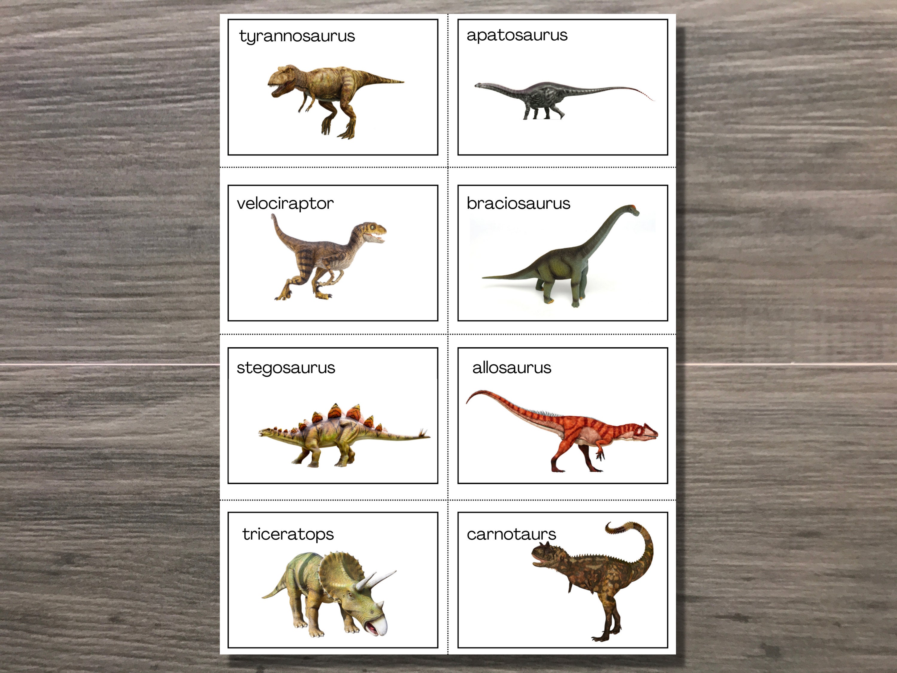 32 Dinosaur Printable Flash Cards | Dinosaur Cards | Dinosaur Memory ...