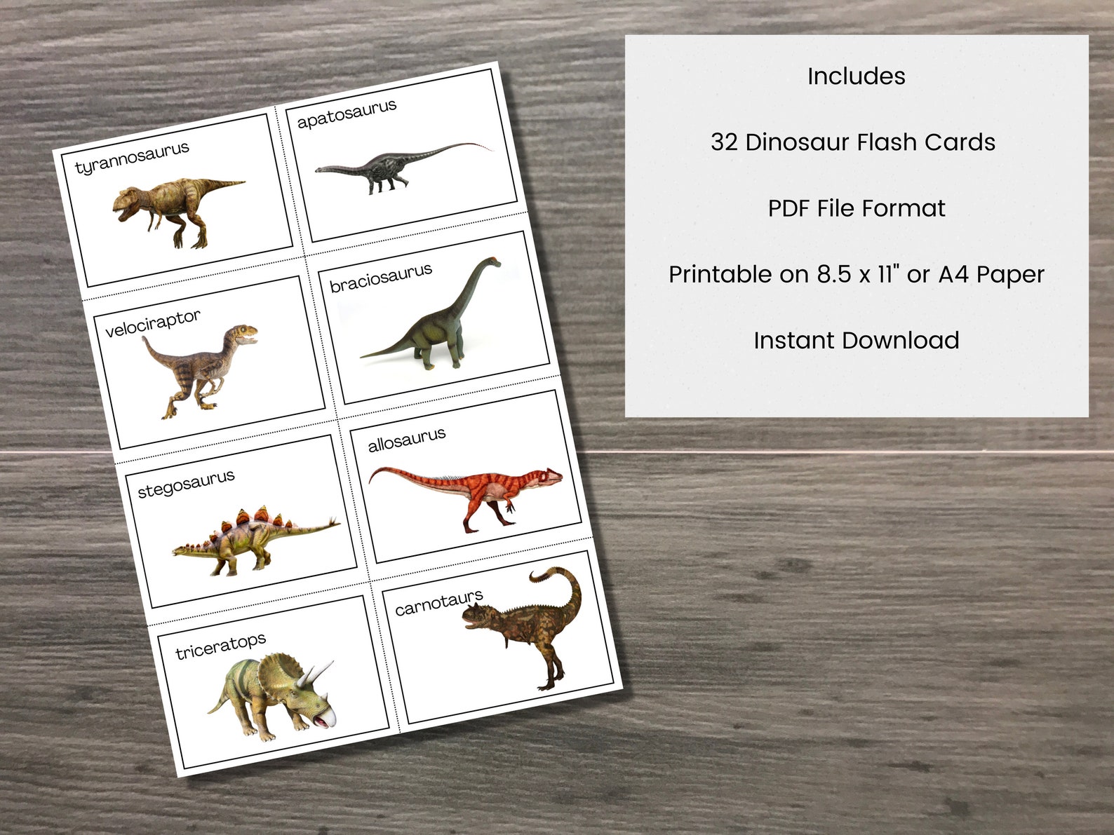 32 Dinosaur Printable Flash Cards Dinosaur Cards Dinosaur Memory Game ...