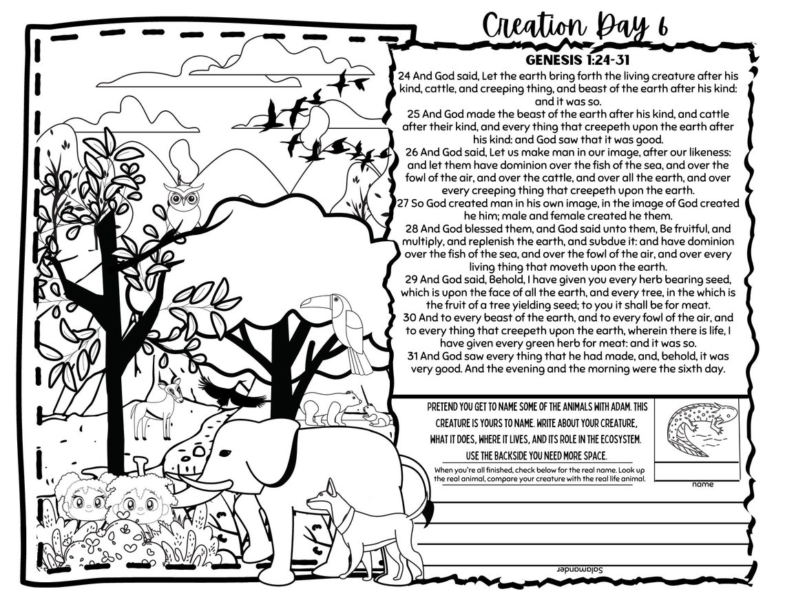 Genesis Creation Bible Worksheet, Lesson Plans, Printable Download ...