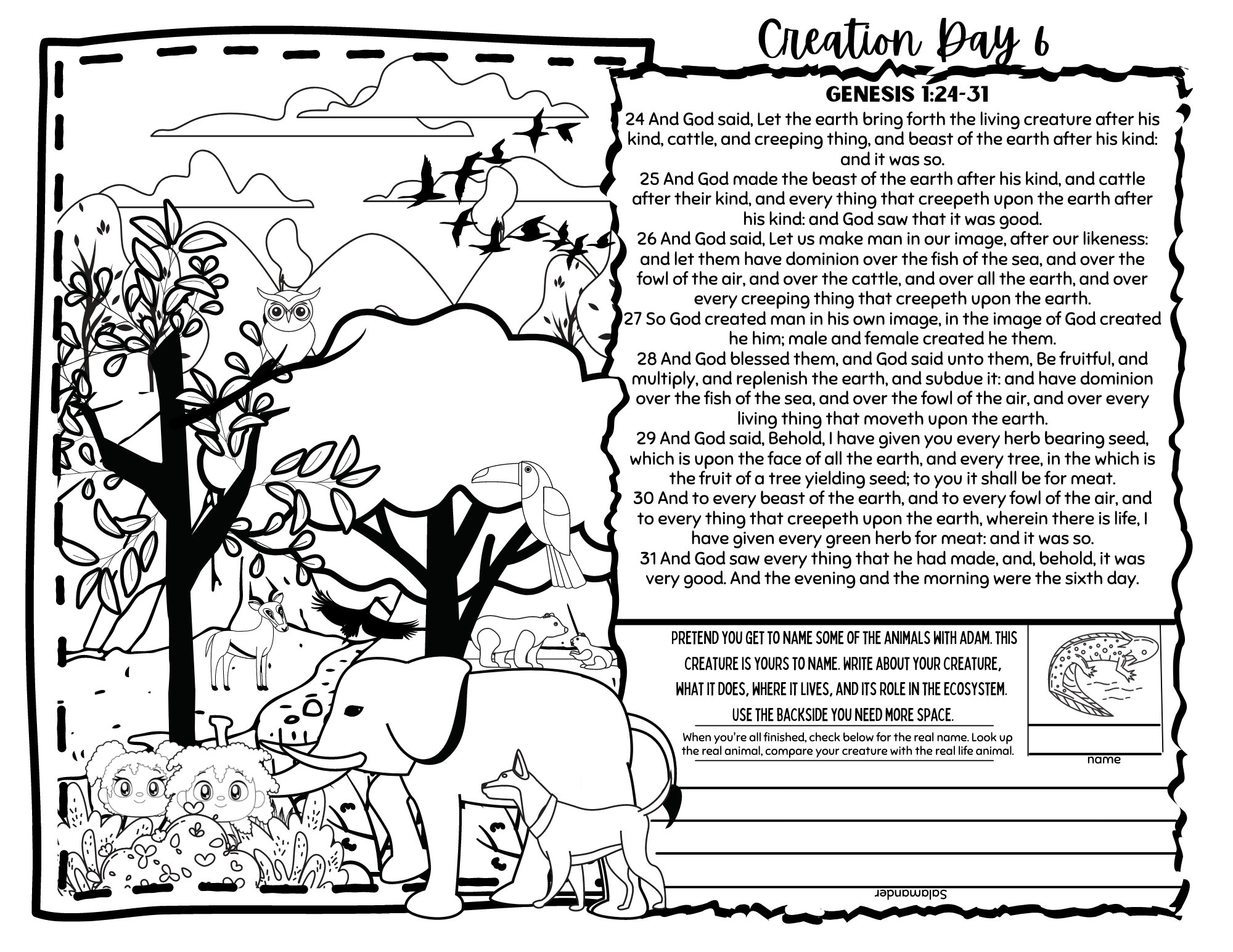 Genesis Creation Bible Worksheet, Lesson Plans, Printable Download ...