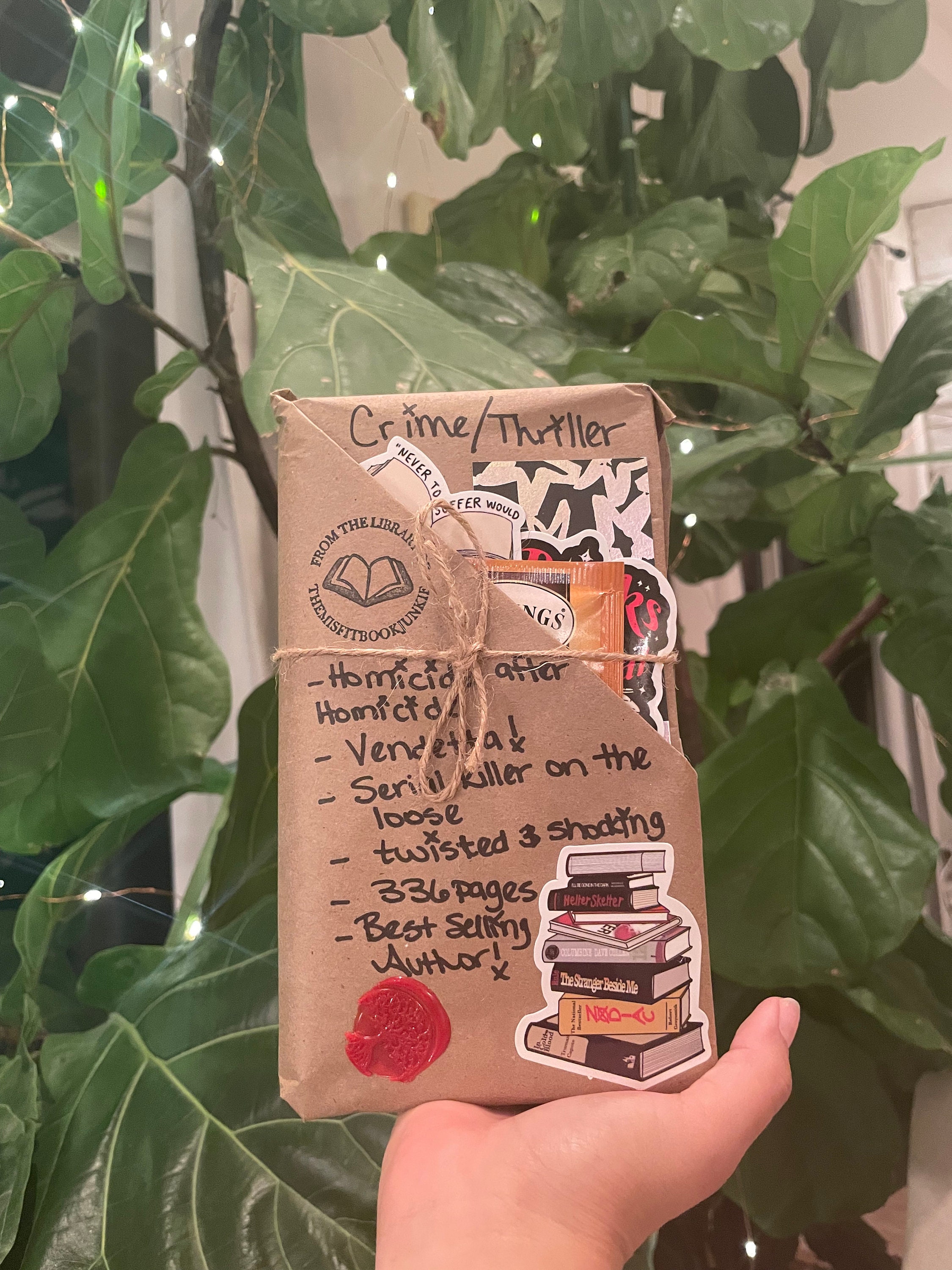 Blind Date With a Book surprise Book book Lover Book Lover Gifts ...