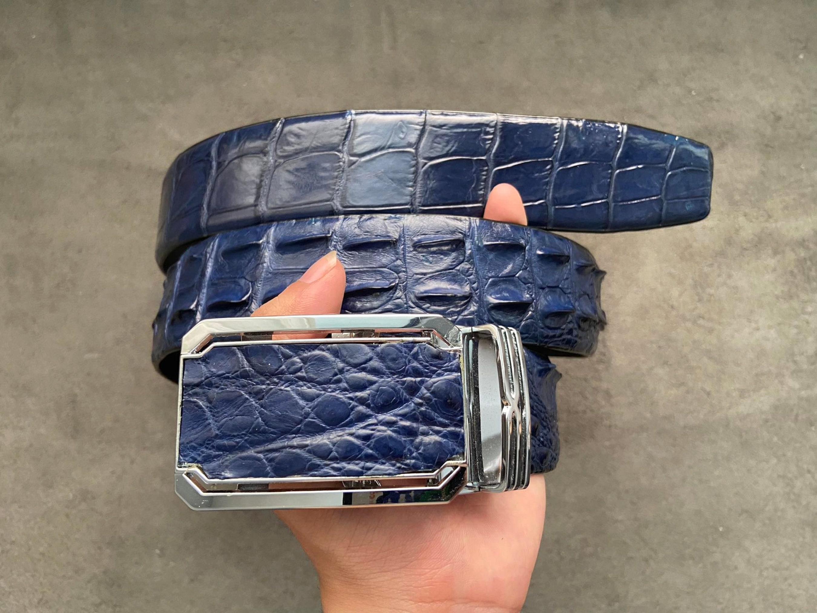 Navy Blue Alligator Genuine Horn Leather Skin Belt W 1.5 Inch, Premium ...