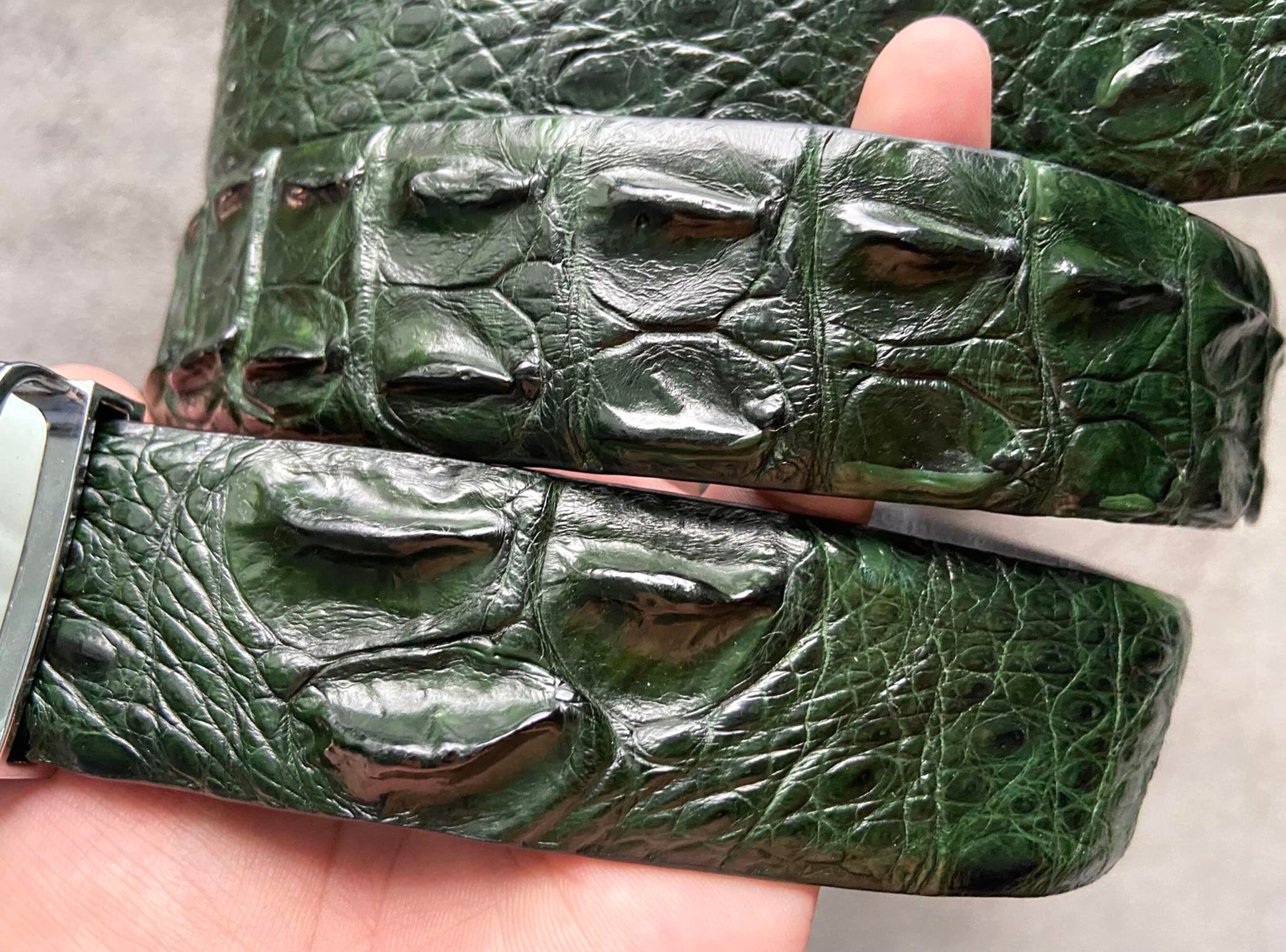 Green Alligator Horn Genuine Leather Skin Men's Belt W 1.3 Inch ...