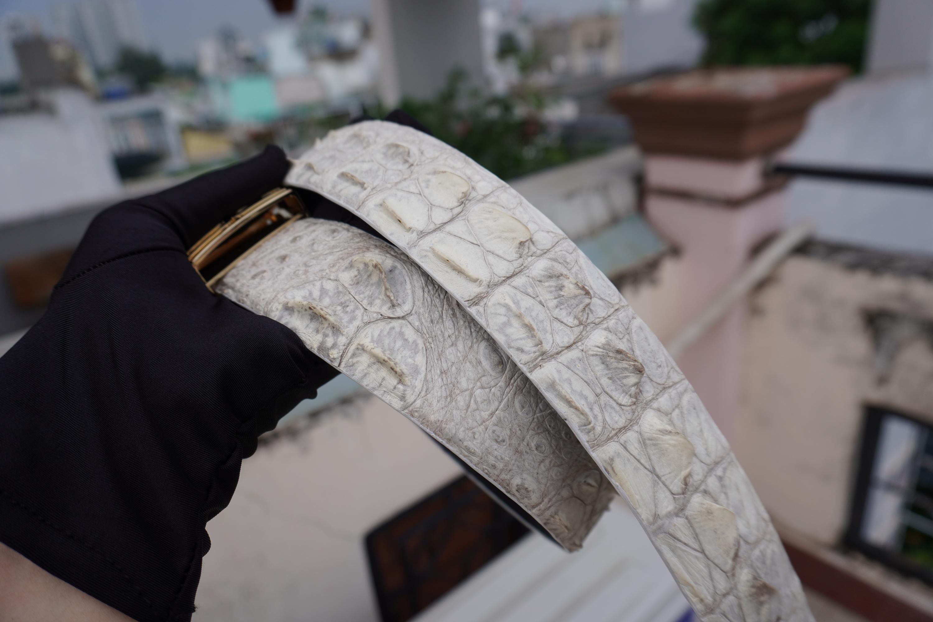 White Genuine Alligator Leather Skin Men's Belt W 1.5 Inch With ...