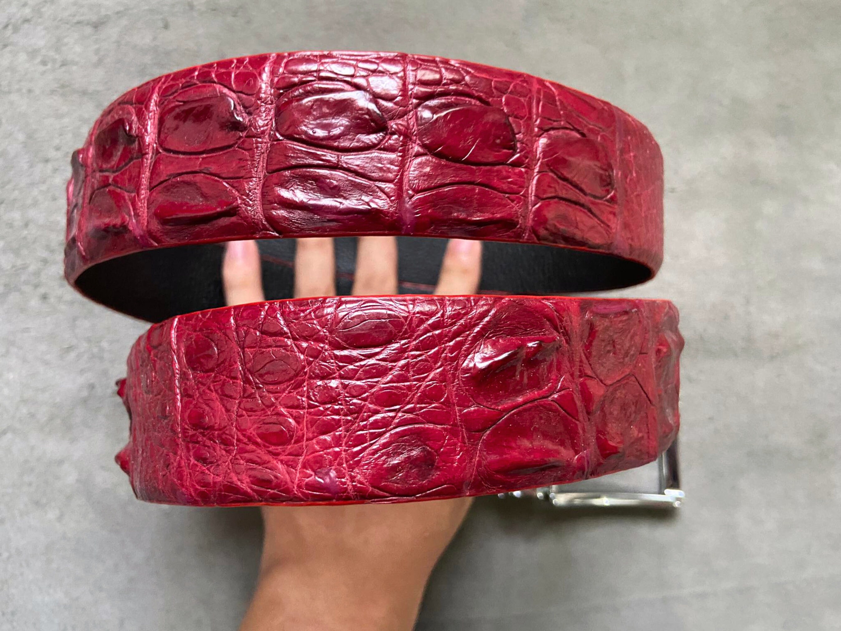 Burgundy Genuine Alligator Horn Leather Skin Men's Belt W - Etsy