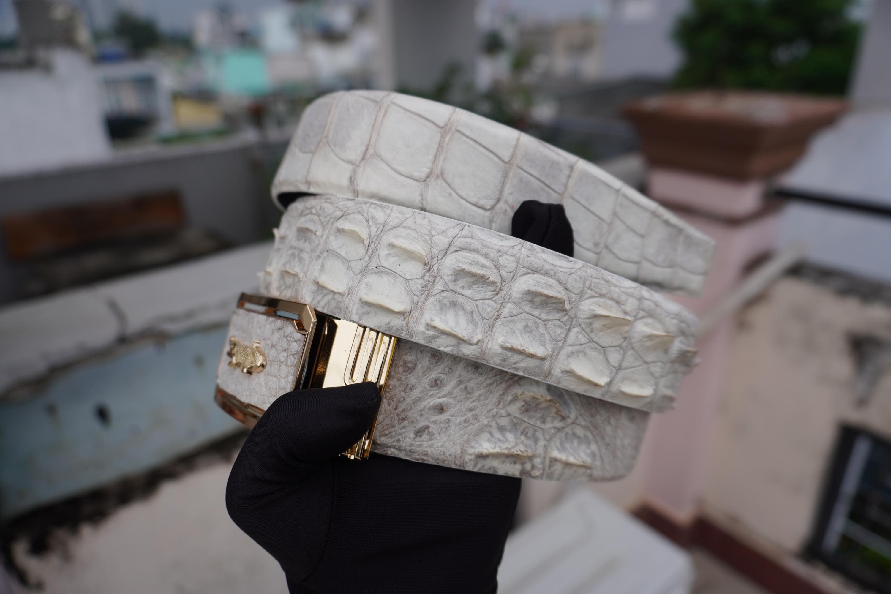 White Genuine Alligator Leather Skin Men's Belt W 1.5 Inch With ...