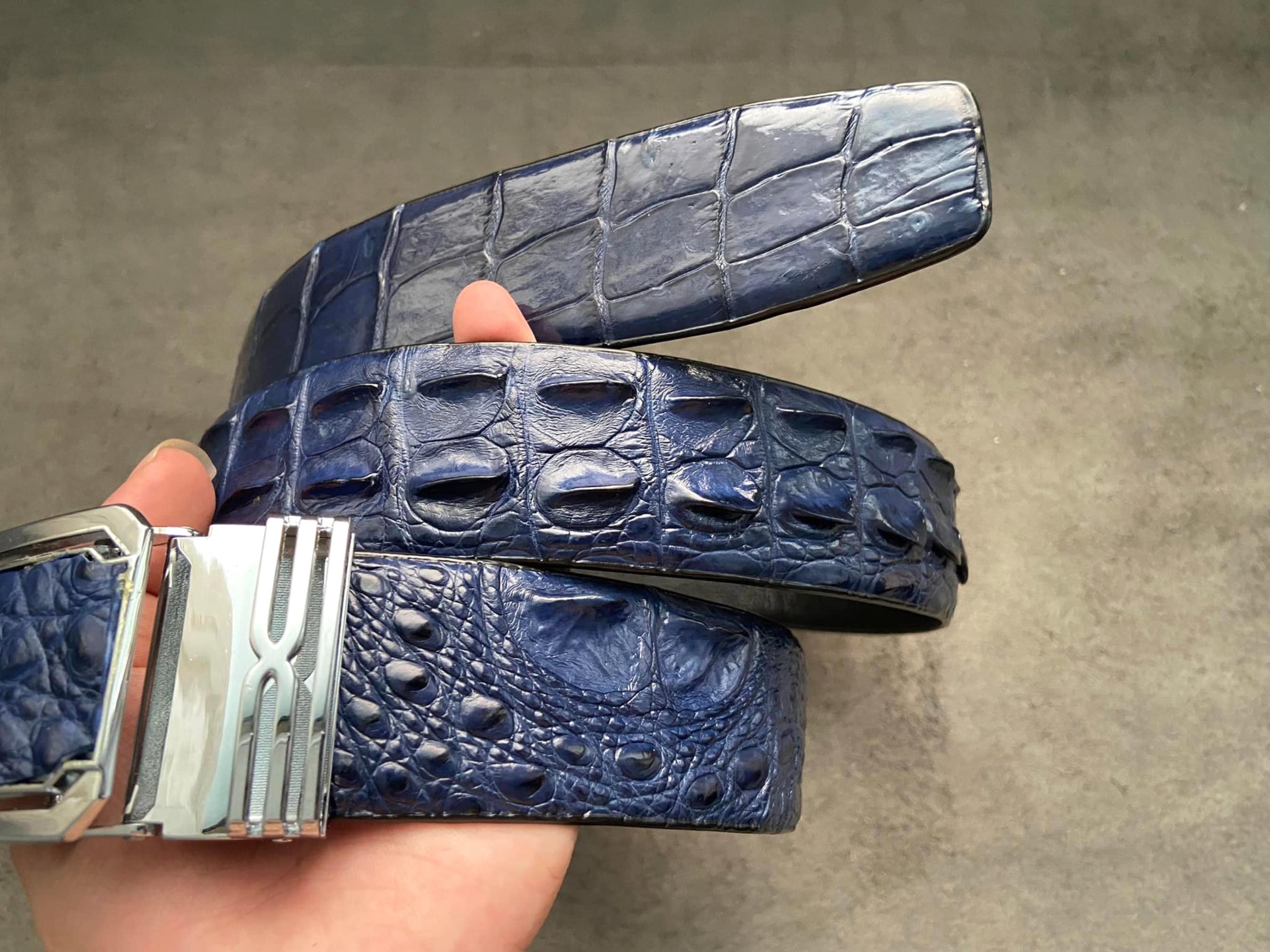 Navy Blue Alligator Genuine Horn Leather Skin Belt W 1.5 Inch, Premium ...