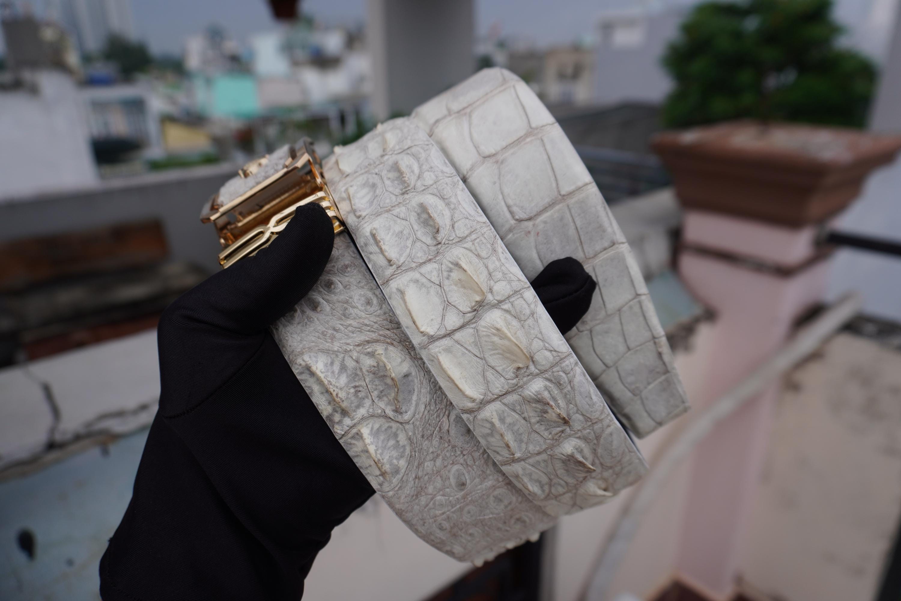 White Genuine Alligator Leather Skin Men's Belt W 1.5 Inch With ...