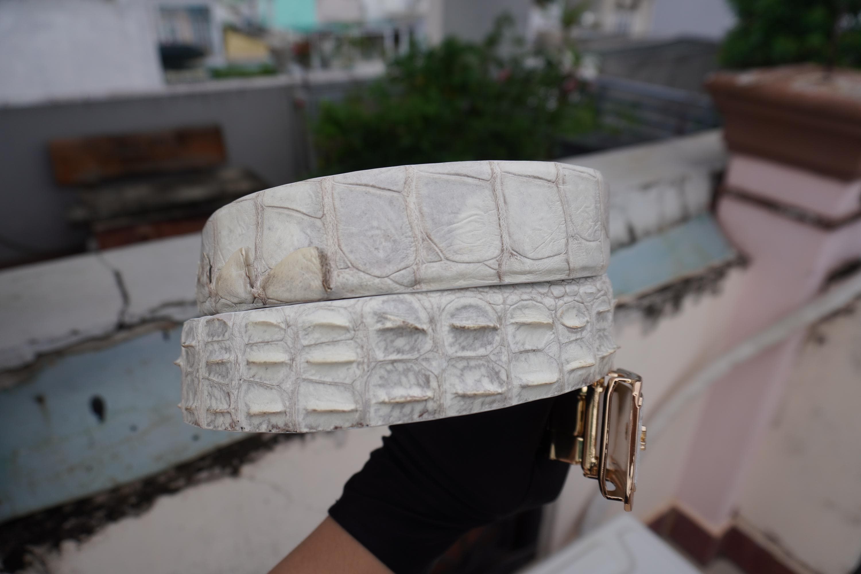 White Genuine Alligator Leather Skin Men's Belt W 1.5 Inch With ...