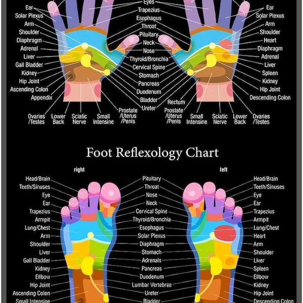 Vintage Hand Reflexology Chart - Etsy