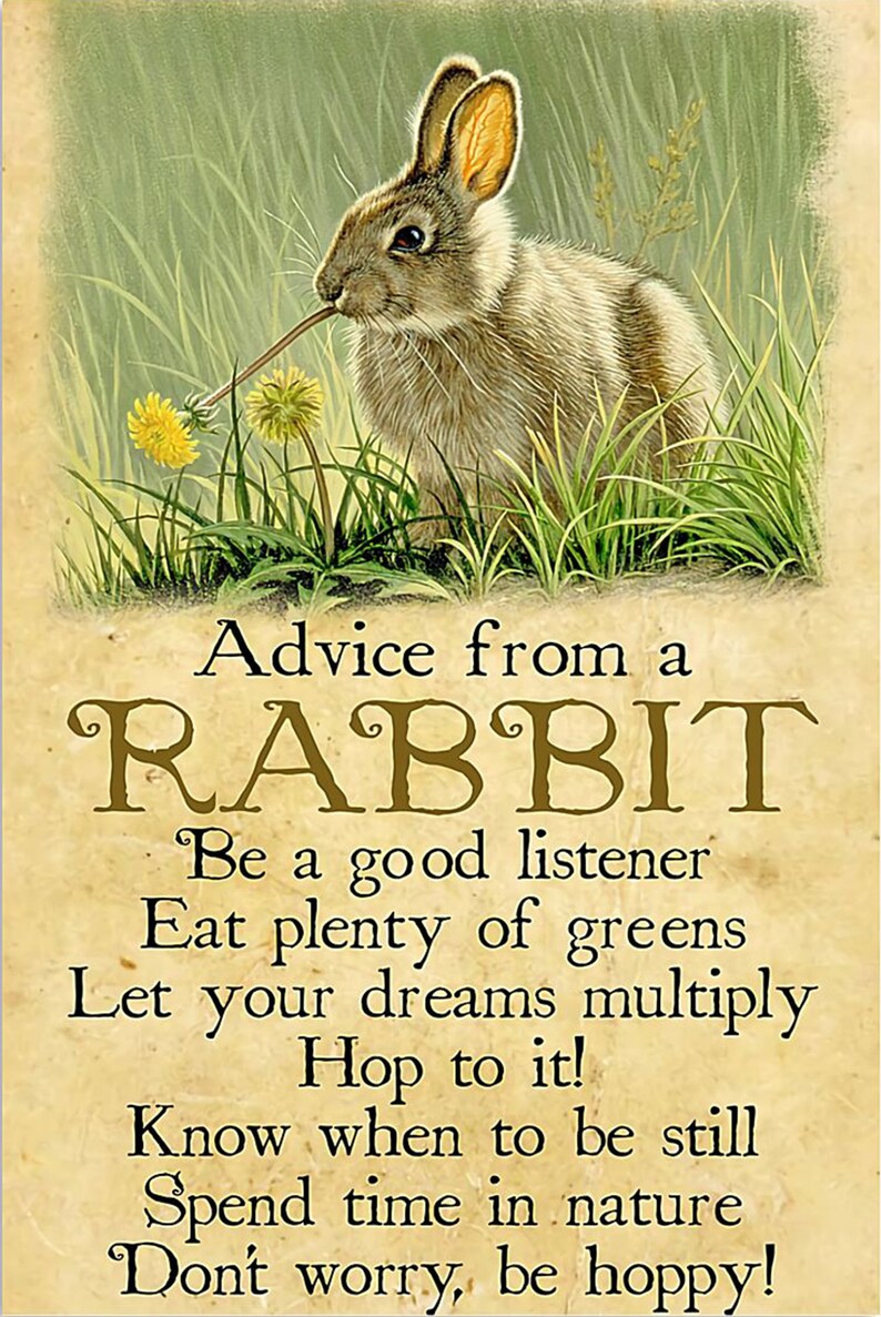 Advice From A Rabbit Poster Vintage Poster - Etsy