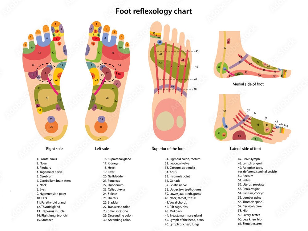 Acupuncture Points Foot
