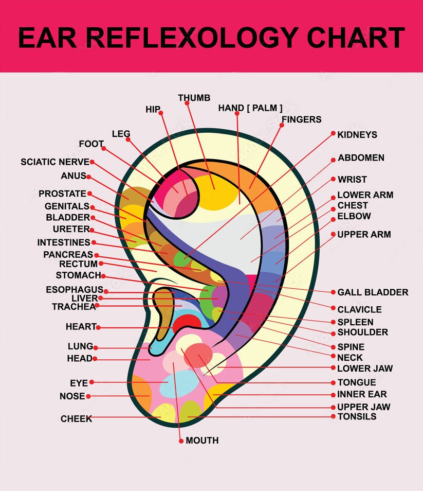 Ear Reflexology Chart Poster Home Decor - Etsy Canada