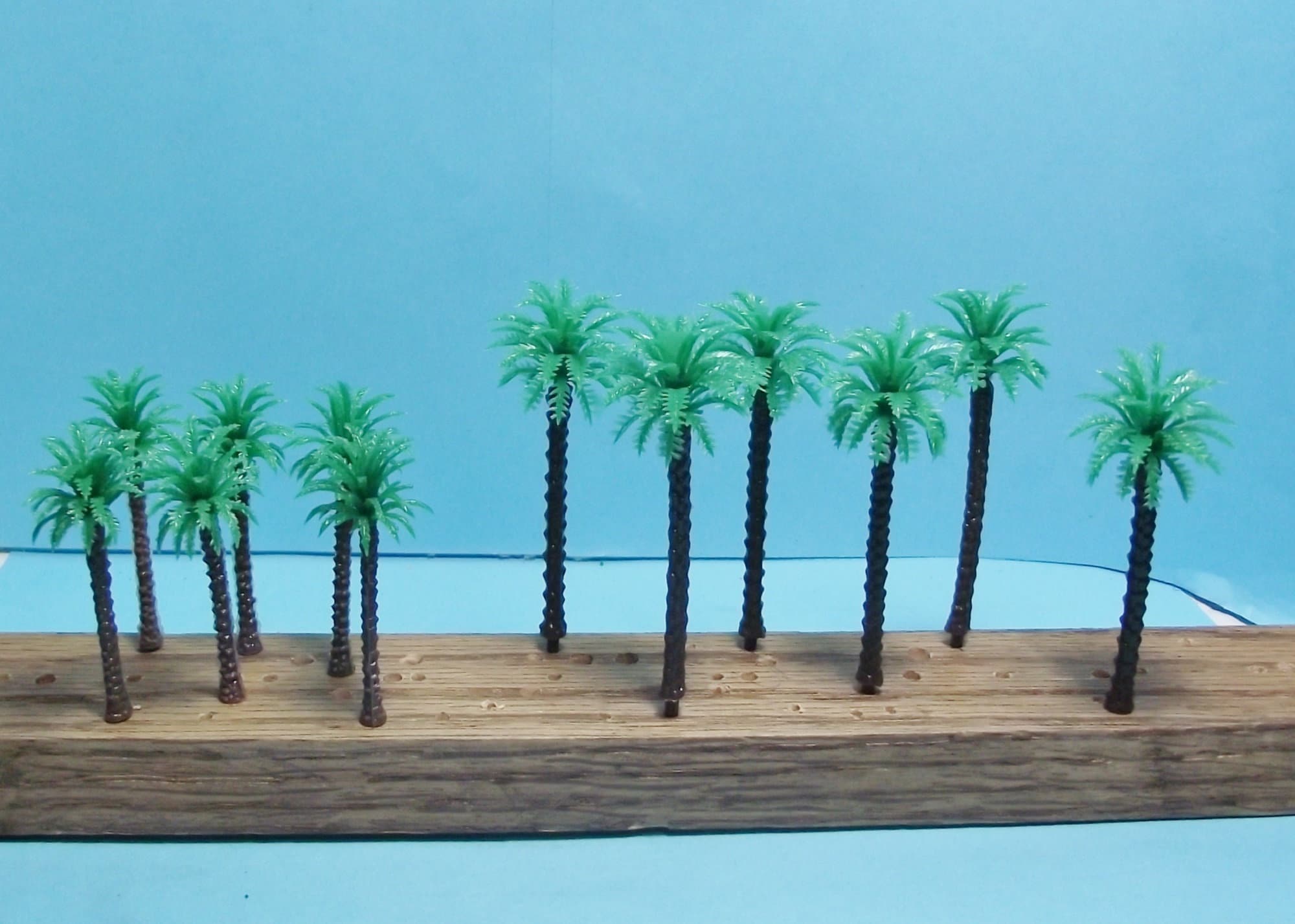 N Scale Coconut Palm Trees - 12 Piece Set, 2 Sizes - Etsy