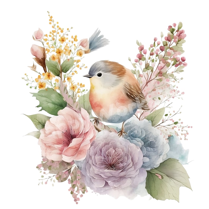 Watercolor Bird Clip Art Bundle: 10 High Quality Jpg's Digital Download ...