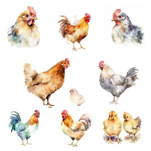 Watercolor Chicken Clipart Collection for Paper Crafting Enthusiasts ...