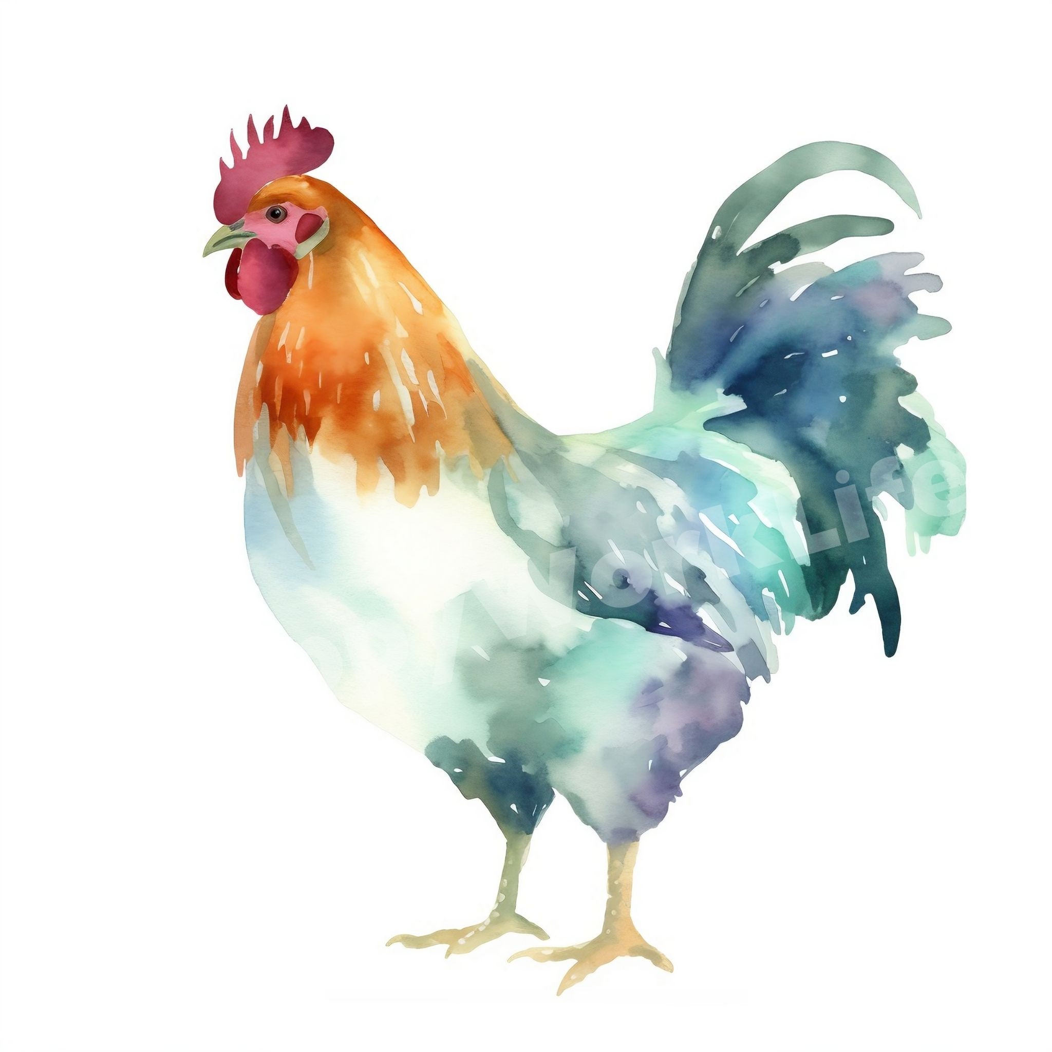 Watercolor Chicken Clipart Collection for Paper Crafting Enthusiasts ...