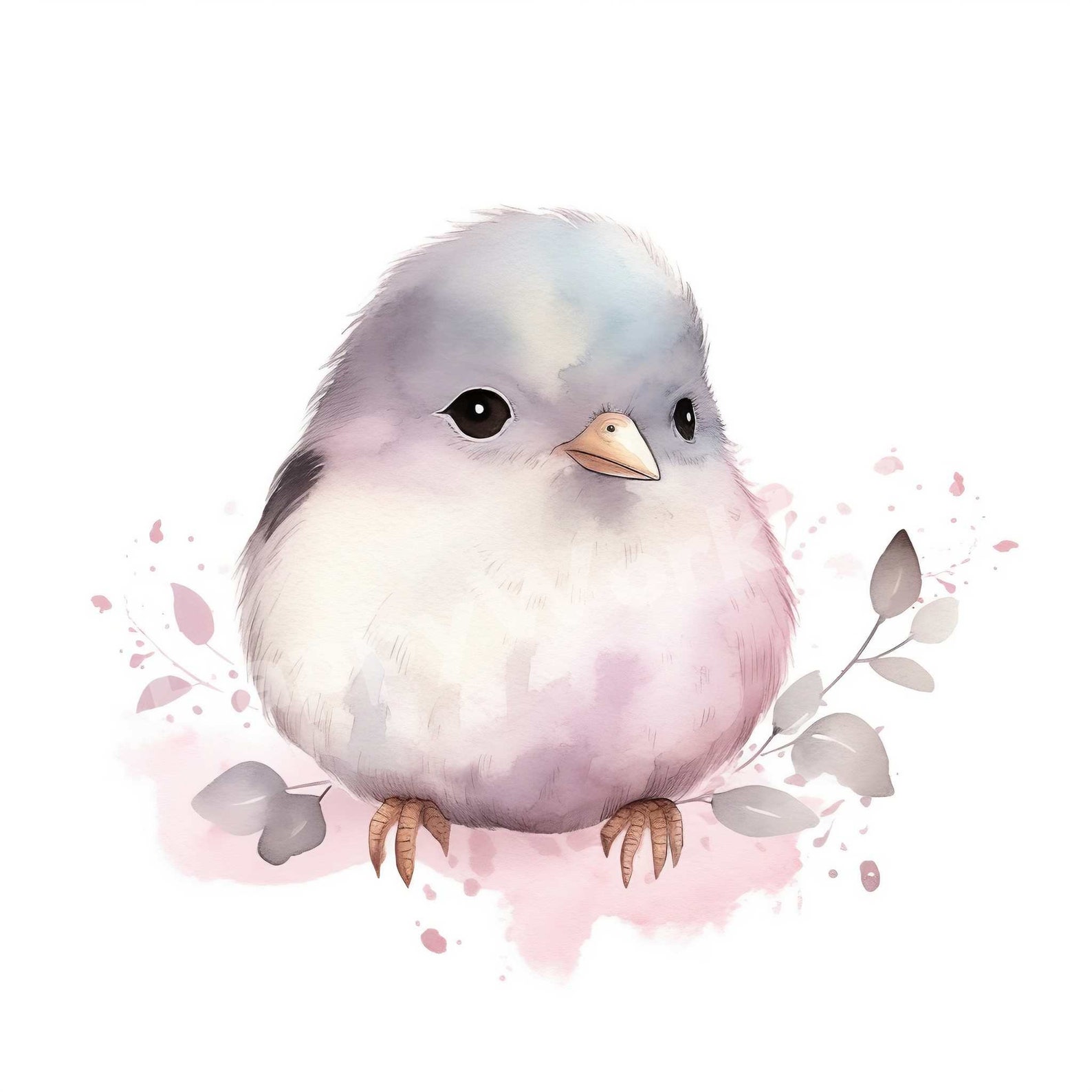 Set of 10 Cute Baby Bird Clipart - High Quality Jpgs - Clipart Birds ...