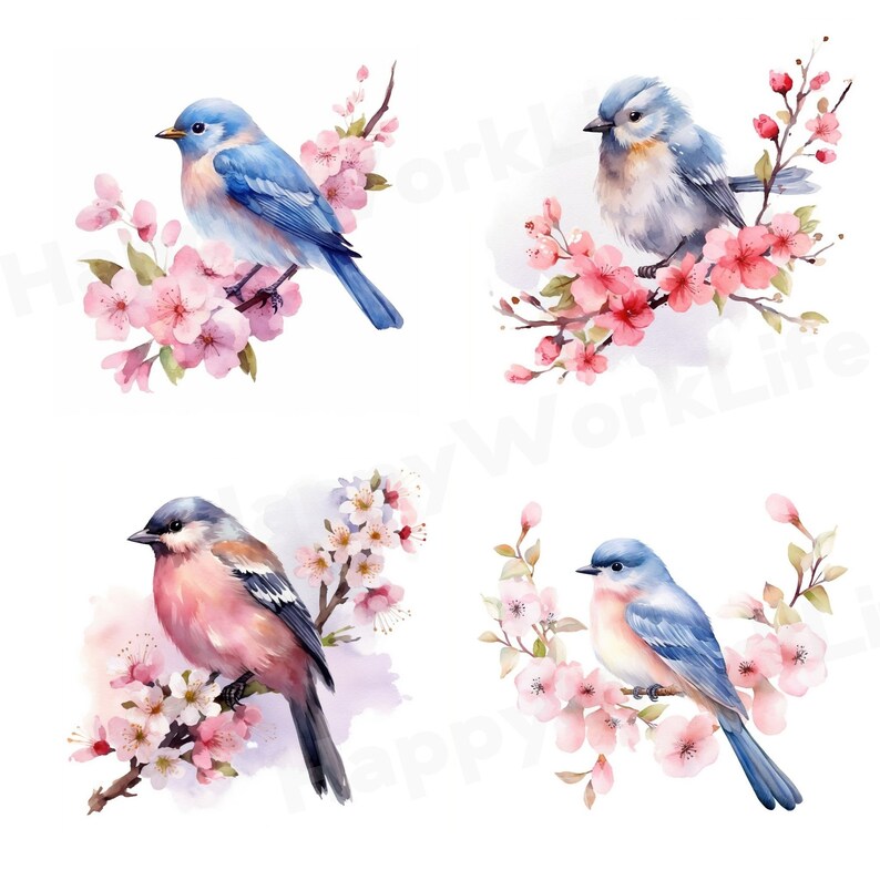 25 Spring Watercolor Bird Clipart - Birds and Flowers Clip Art Bundle ...
