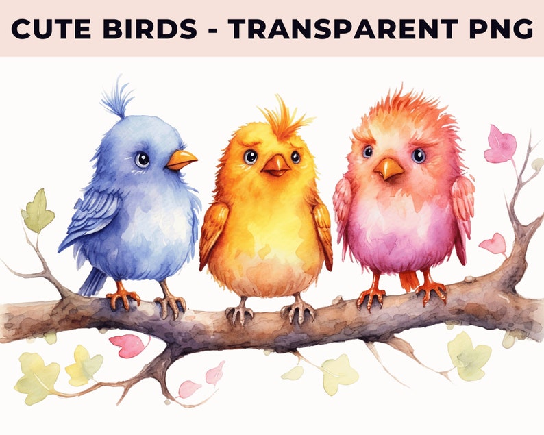 Cute Watercolor Bird Clipart, 3 Birds on a Branch, Funny Birds PNG ...