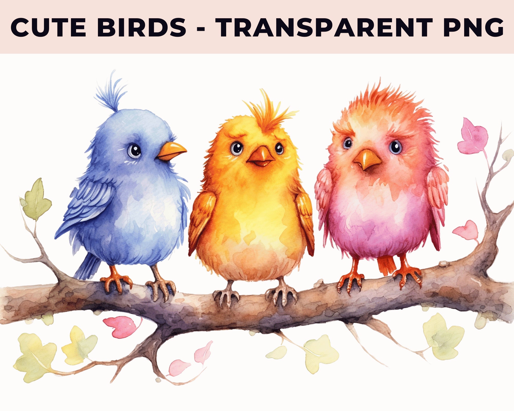Cute Watercolor Bird Clipart, 3 Birds on a Branch, Funny Birds PNG ...