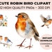 Cute Bird Clipart Bundle Set of 10 Watercolor Birds & Funny Baby Birds ...