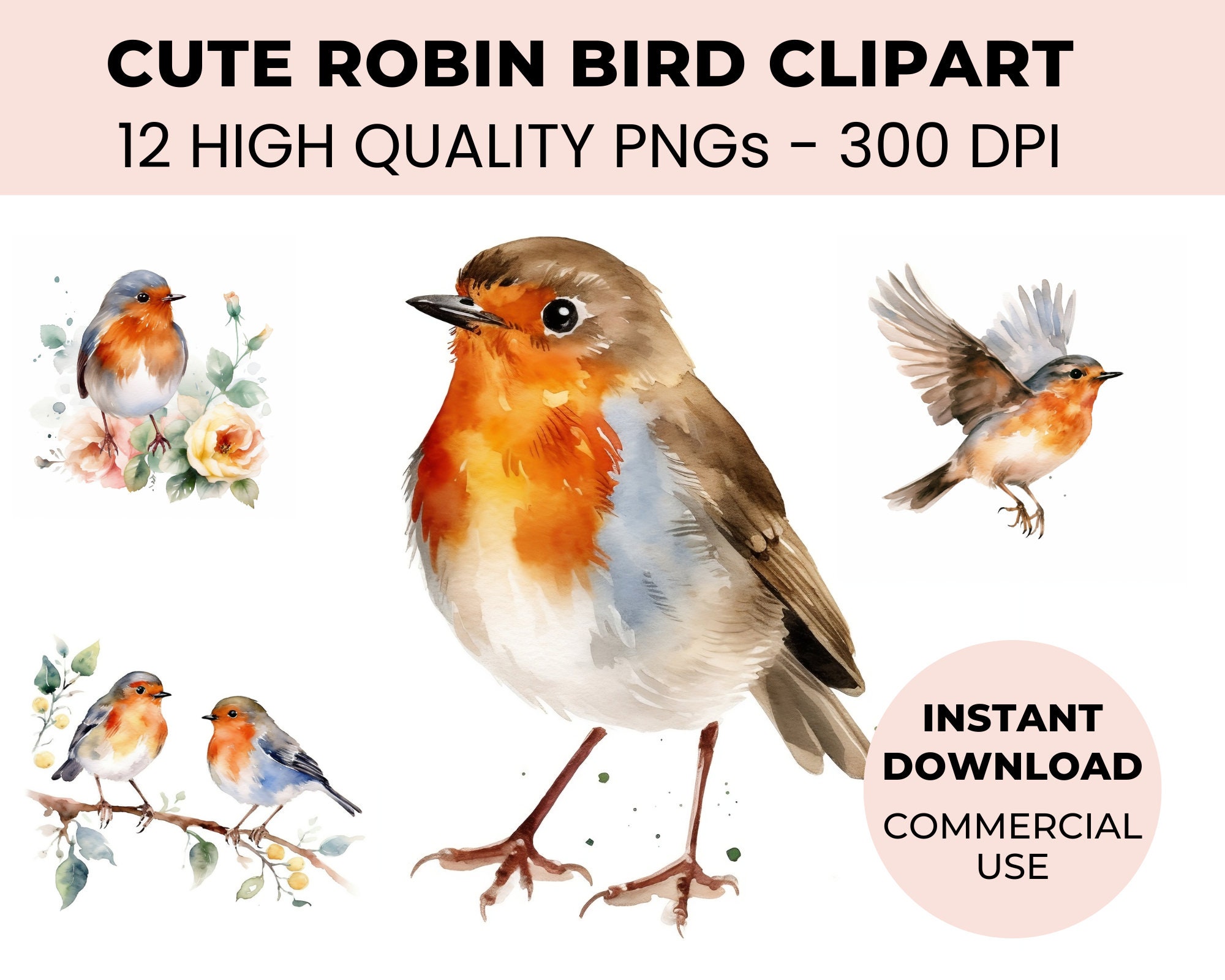 Robin Bird Clipart Bundle - 12 Cute Bird Clipart Pngs - Watercolor ...