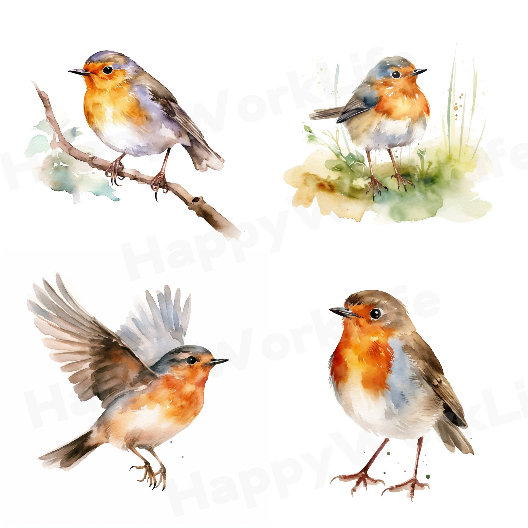 Set of 12 Robin Bird Clipart Images - Cute Bird Clipart Pngs ...