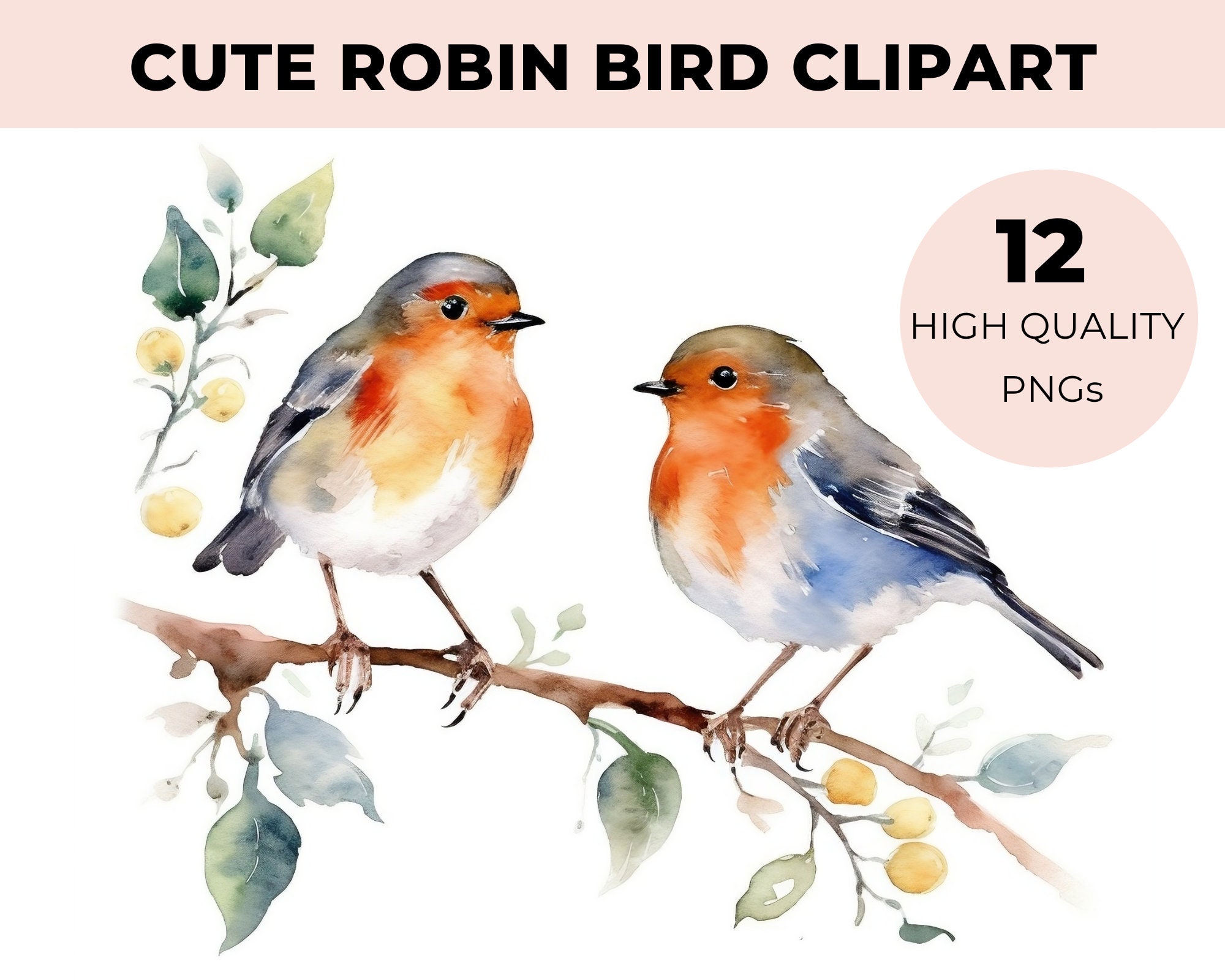 Robin Bird Clipart