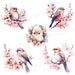 25 Spring Watercolor Bird Clipart Birds and Flowers Clip Art Bundle: 25 ...