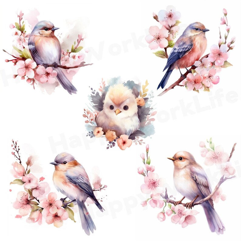 25 Spring Watercolor Bird Clipart - Birds and Flowers Clip Art Bundle ...