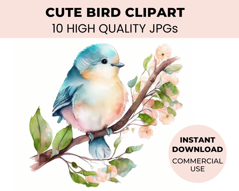 Watercolor Bird Clip Art Bundle: 10 High Quality Jpg's - Etsy