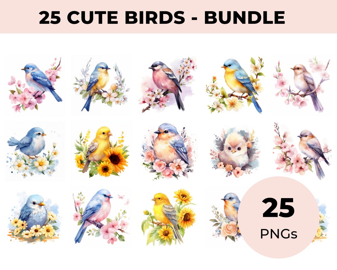 Birds Bundle Premium, Set of 25 Cute Bird Clipart PNG, Birds and ...