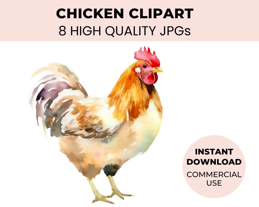 Charming Chicken Clipart Collection for Paper Crafting Enthusiasts 8 ...