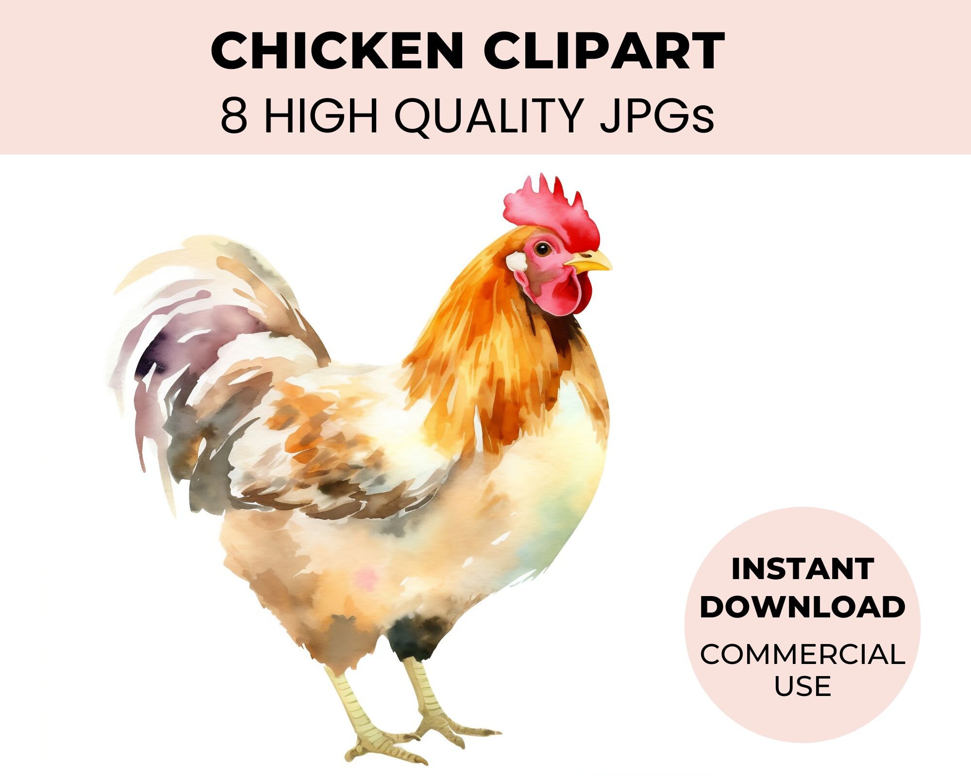Charming Chicken Clipart Collection for Paper Crafting Enthusiasts 8 ...