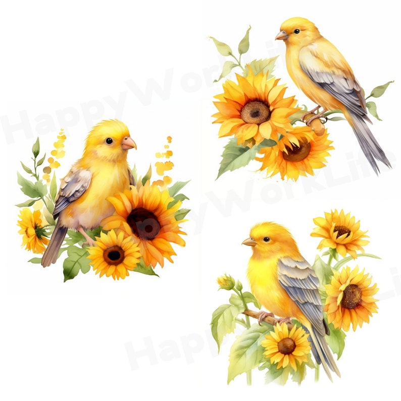 25 Spring Watercolor Bird Clipart - Birds and Flowers Clip Art Bundle ...