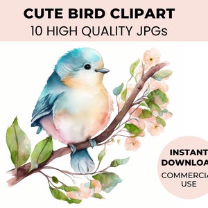 Watercolor Bird Clip Art Bundle: 10 High Quality Jpg's Digital Download ...