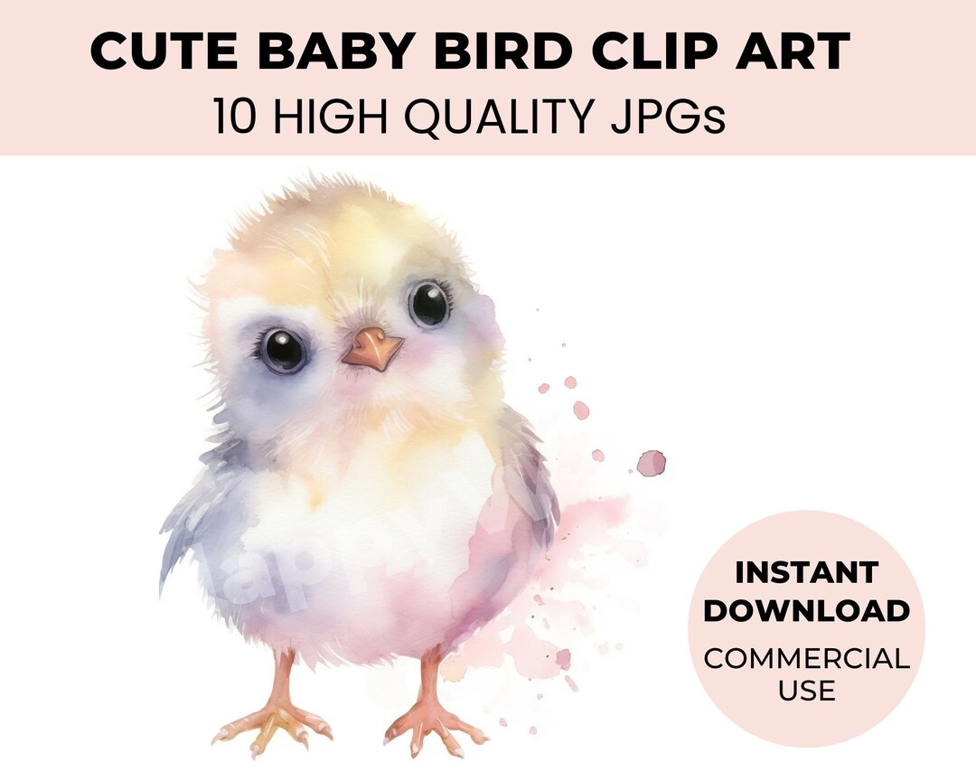Set of 10 Cute Baby Bird Clipart - High Quality Jpgs - Clipart Birds ...