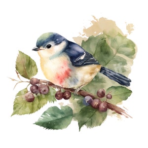 Watercolor Bird Clip Art Bundle: 10 High Quality Jpg's - Digital ...